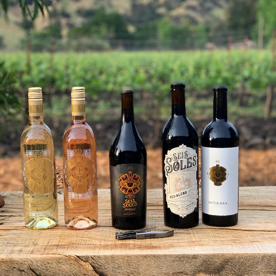 Hand Crafted Lodi Wines – Seis Soles Wine Co.